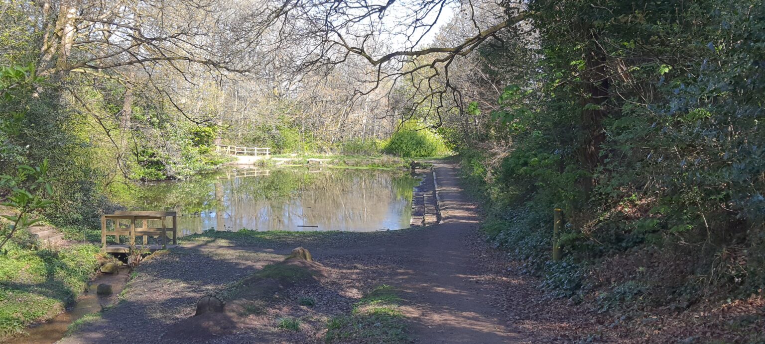 Endangered building - Birley Spa the last remaining Victorian bath ...